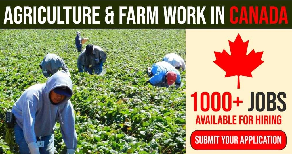 Move to Canada in 2025 for a Agriculture/Farm Worker Job - PAID WEST AFRICA