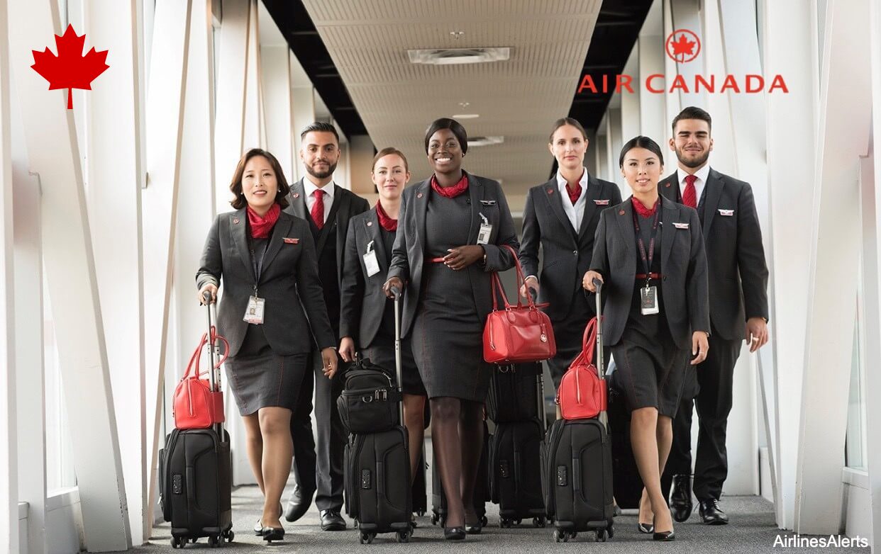 Cabin Crew Jobs in Canada - Application Guideline and Requirements ...